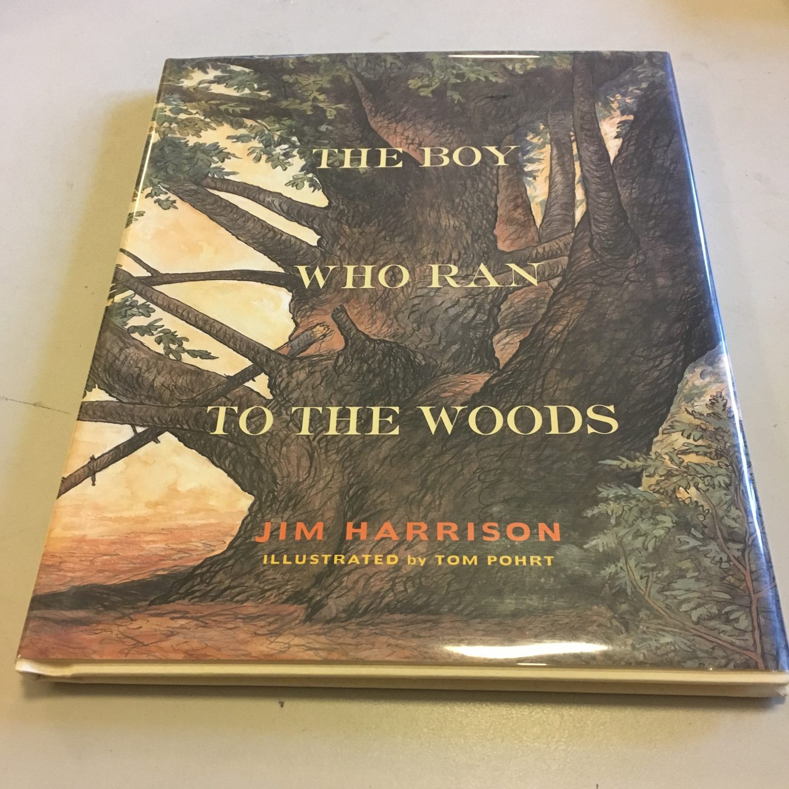 The Boy Who Ran to the Woods by Jim Harrison - Signed First Edition | Brick